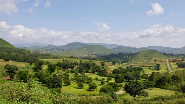 Top 16 Most Beautiful Hill Stations in South India
