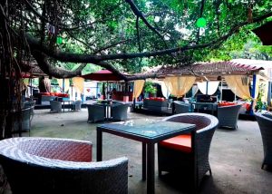 Top 20 Night Clubs in Bangalore for Ultimate Nightlife Fun