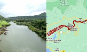Top Top 30 Longest Rivers in India – Names, Photos & Key Facts
