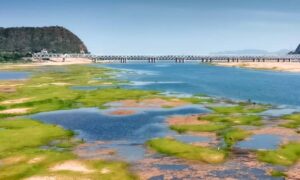 31 Longest Bridges in India – Photos, Length & Interesting Facts