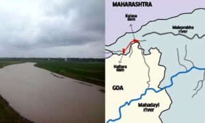 Top Top 30 Longest Rivers in India – Names, Photos & Key Facts