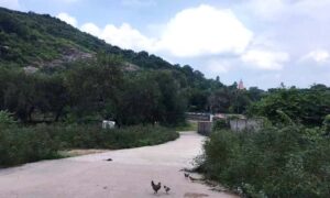 Top 23 Tourist Places in Gaya – Must-Visit Attractions