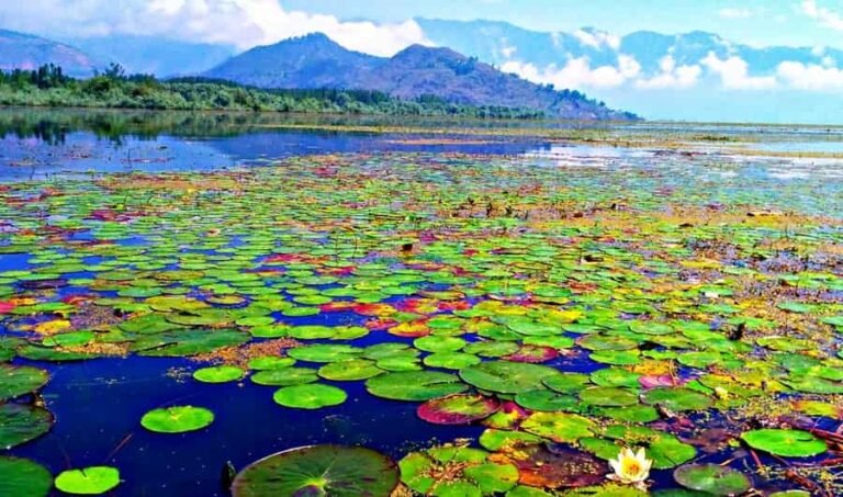 Top 14 Most Beautiful Lakes Of India You Must Visit