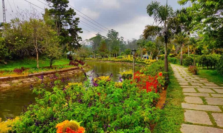 Top 10 Best Places to Visit in Munnar