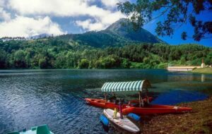 Top 10 Best Places to Visit in Munnar