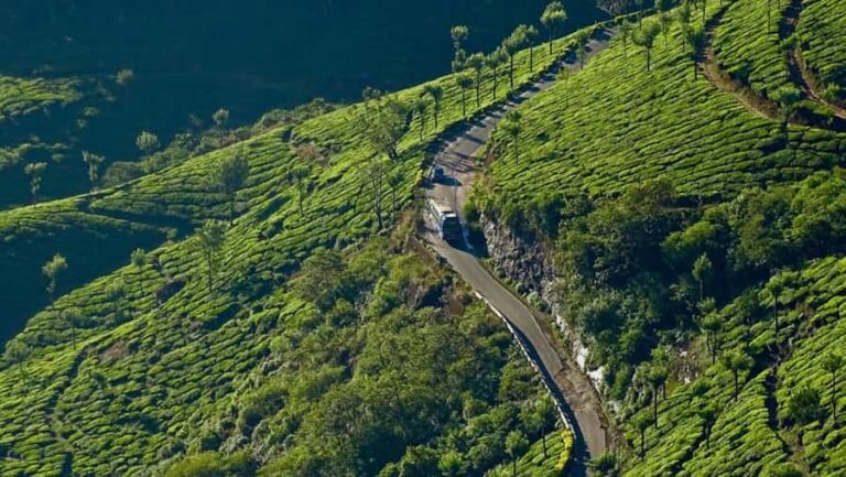 Top 10 Best Places to Visit in Munnar